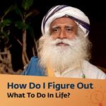 Sadhguru Net Worth | Wife | Income | Quotes | Assets | Bio - Stardom ...