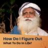 Sadhguru Net Worth | Wife | Income | Quotes | Assets | Bio - Stardom ...